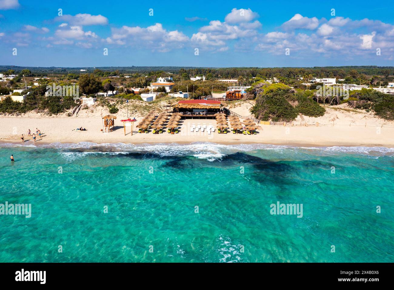 Punta Prosciutto azure sea water, crystal clear water on beach Punta ...