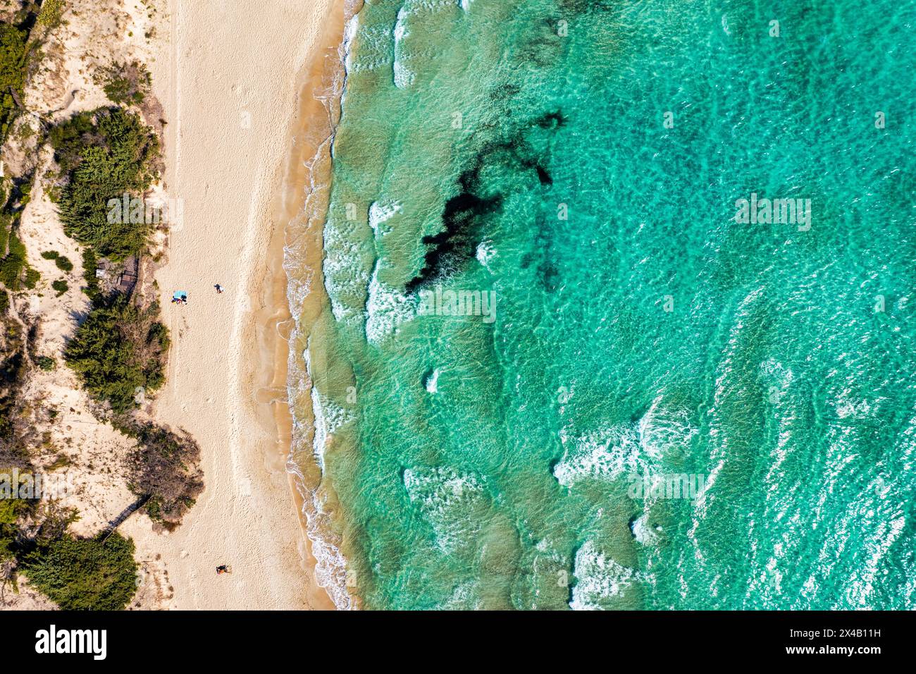 Punta Prosciutto azure sea water, crystal clear water on beach Punta ...