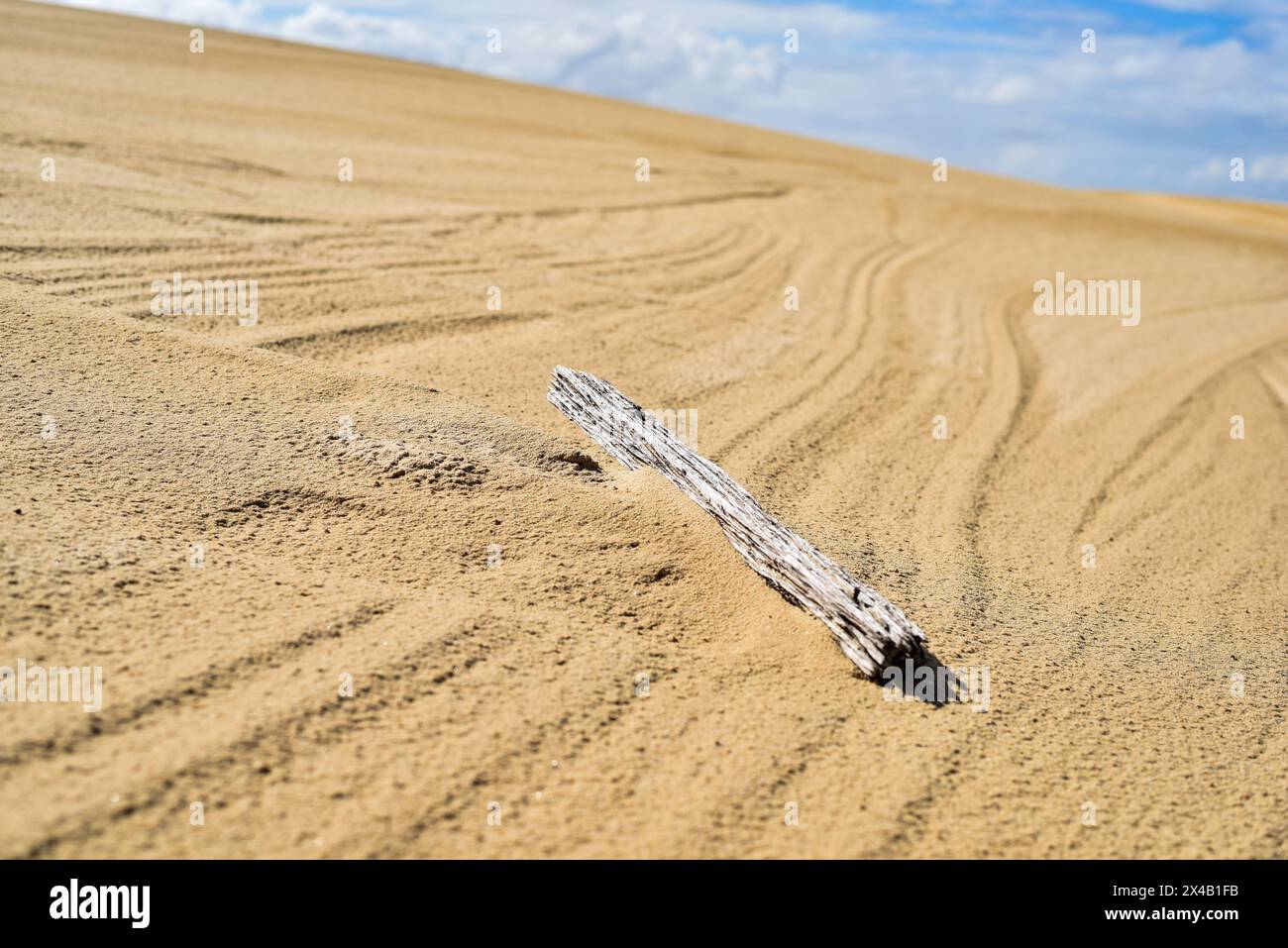 Drift wood texture hi-res stock photography and images - Alamy