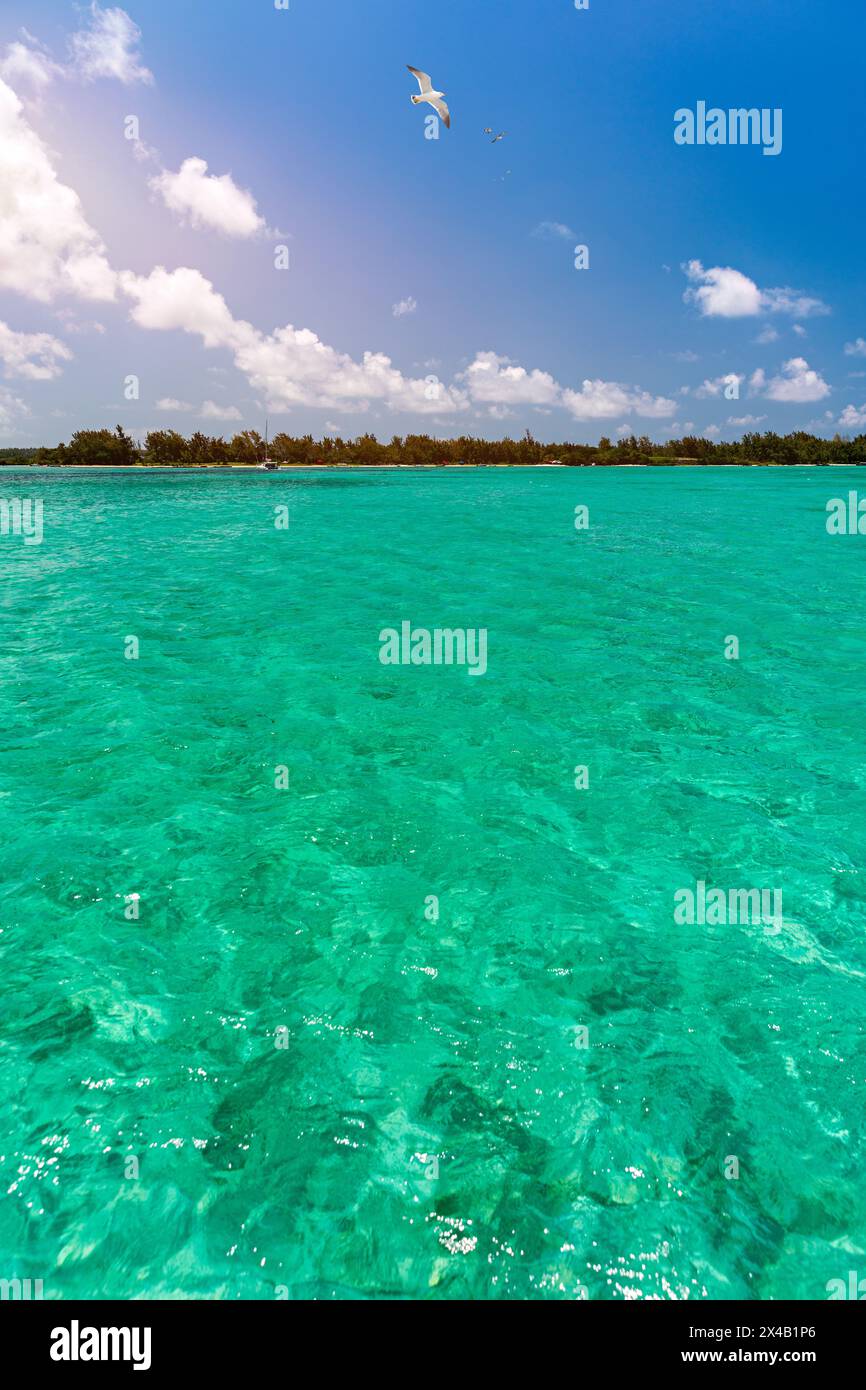 Water surface in vibrant green. View of a crystal clear sea water ...
