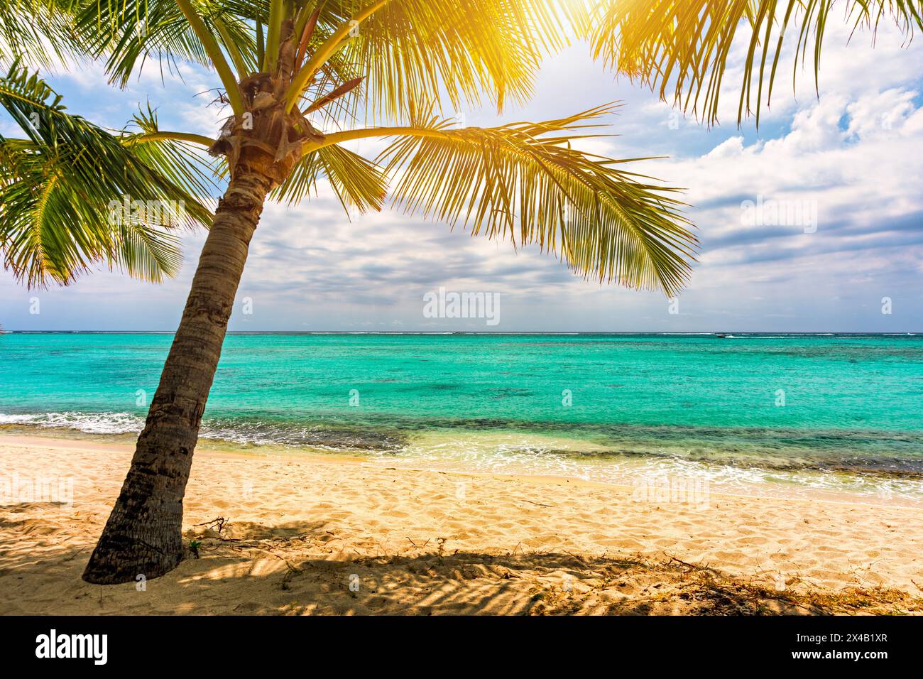 Tropical beach scenery, vacation in paradise island Mauritius. Dream ...