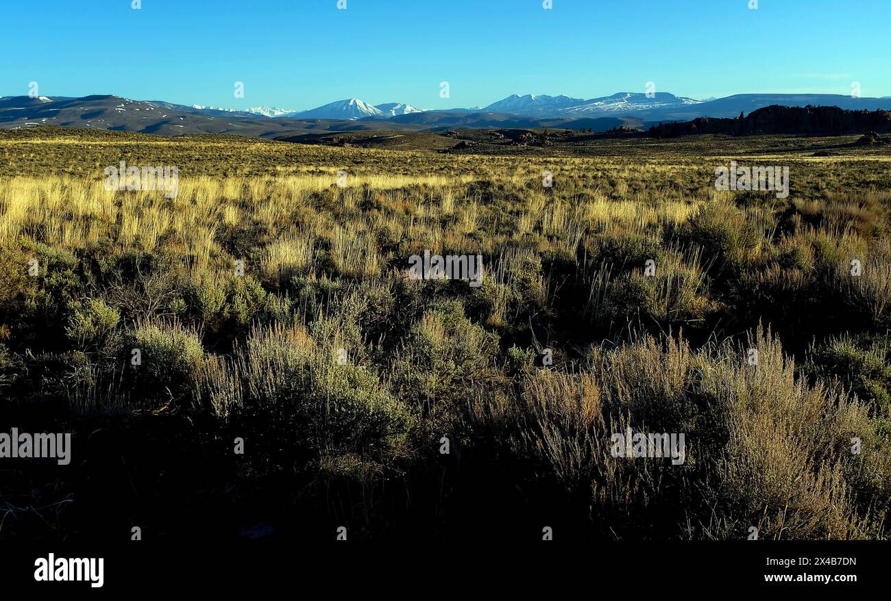 May 02, 2024: The deep green sage landscape of Colorado's high desert ...
