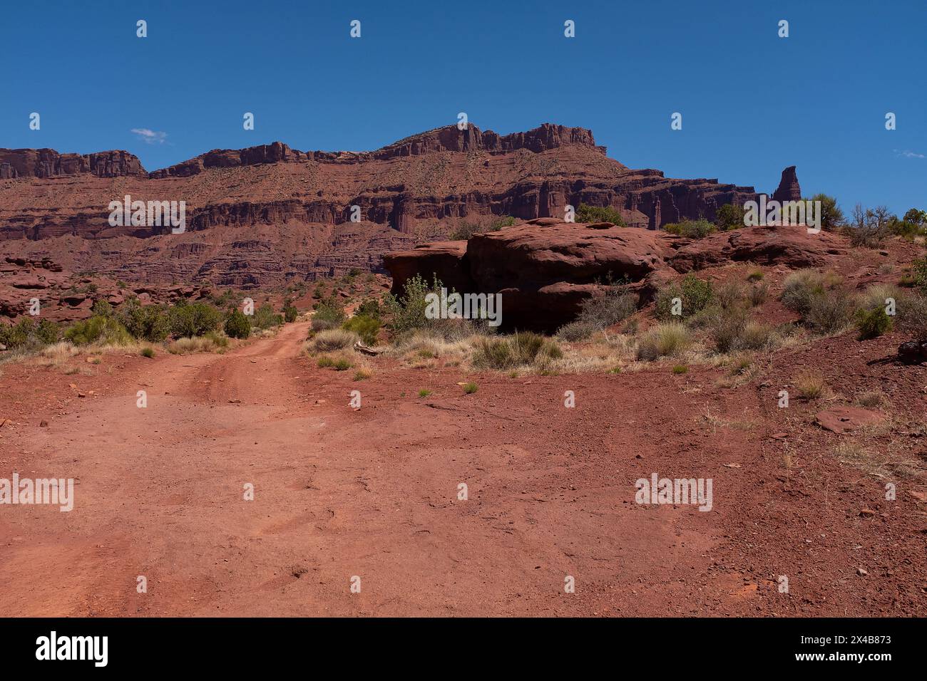 Biocrust hi-res stock photography and images - Alamy