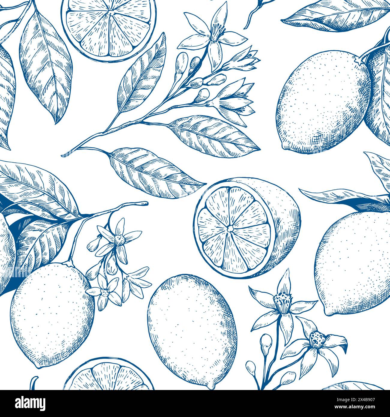 Lemon branches with fruits and flowers drawing in retro engrawing style ...