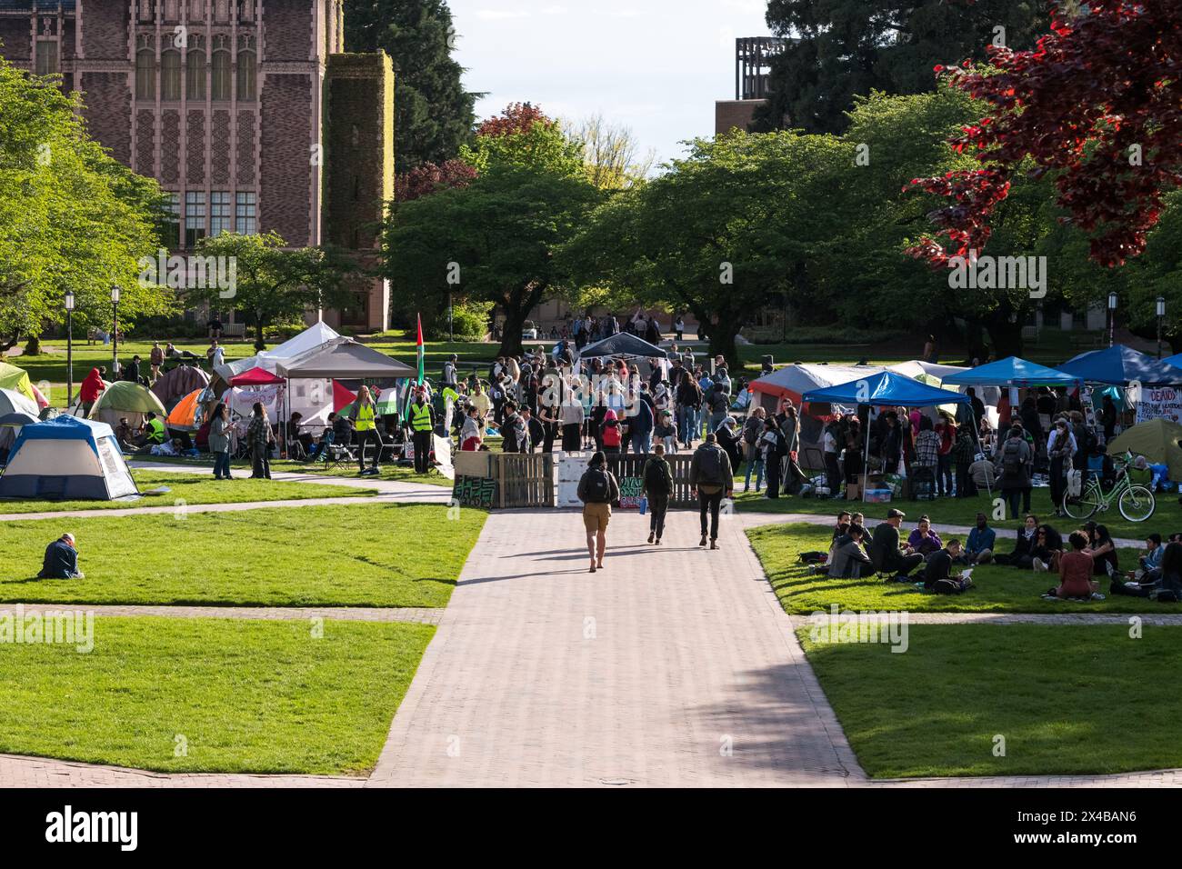 Seattle, USA. 1st May 2024. The Pro Palestine Protestor encampment in ...