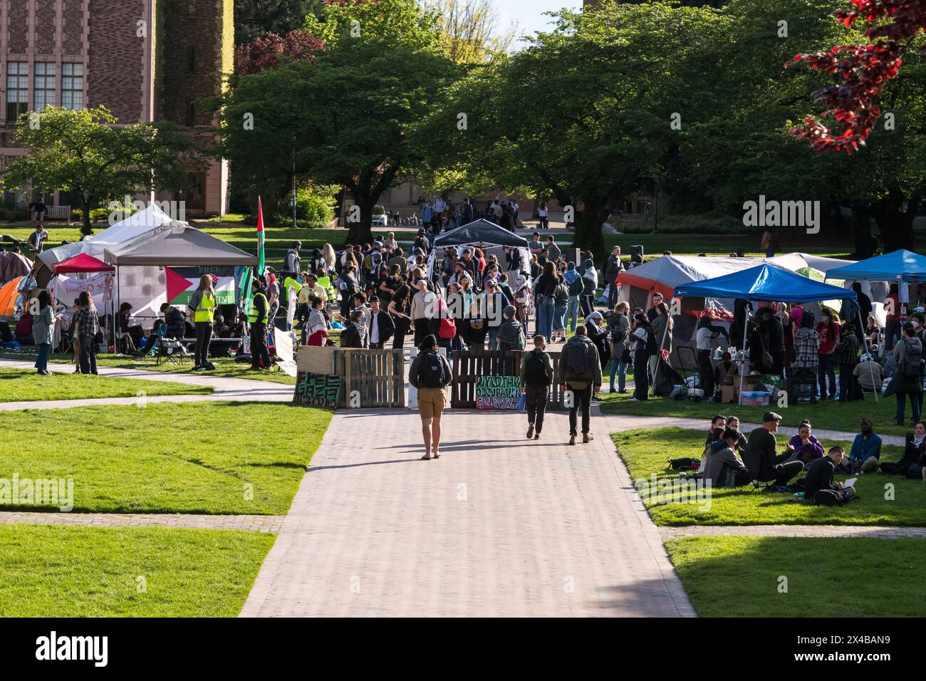 Seattle, USA. 1st May 2024. The Pro Palestine Protestor encampment in ...
