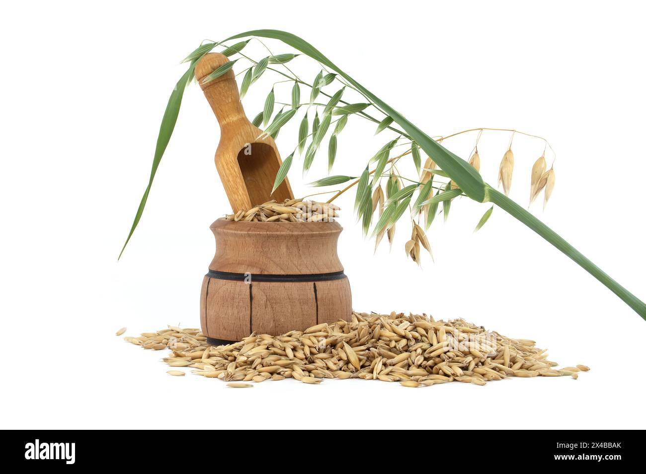 Heap of organic oat grains with hulls or husks isolated on a white ...
