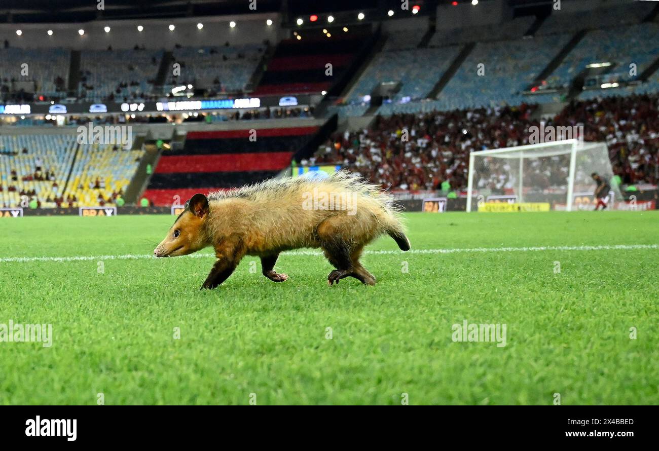 Rio de Janeiro-Brasill May 1, 2024, Flamengo and Amazonia, Copa do ...