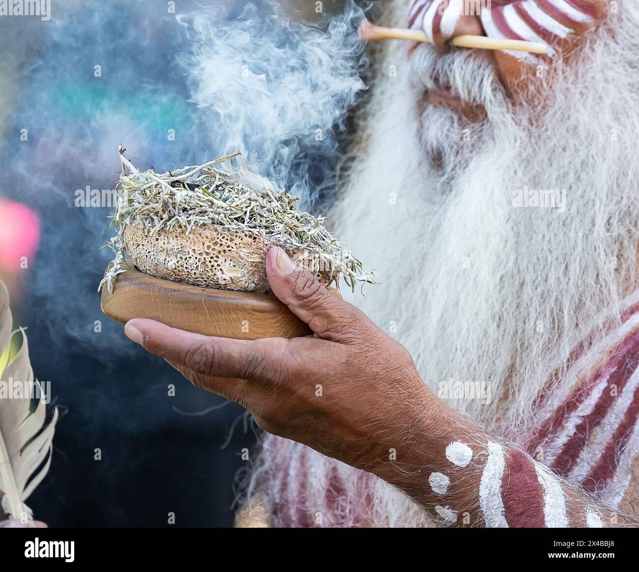 Ritual fire with green burning branch, smoke and fire, the smoke ritual ...