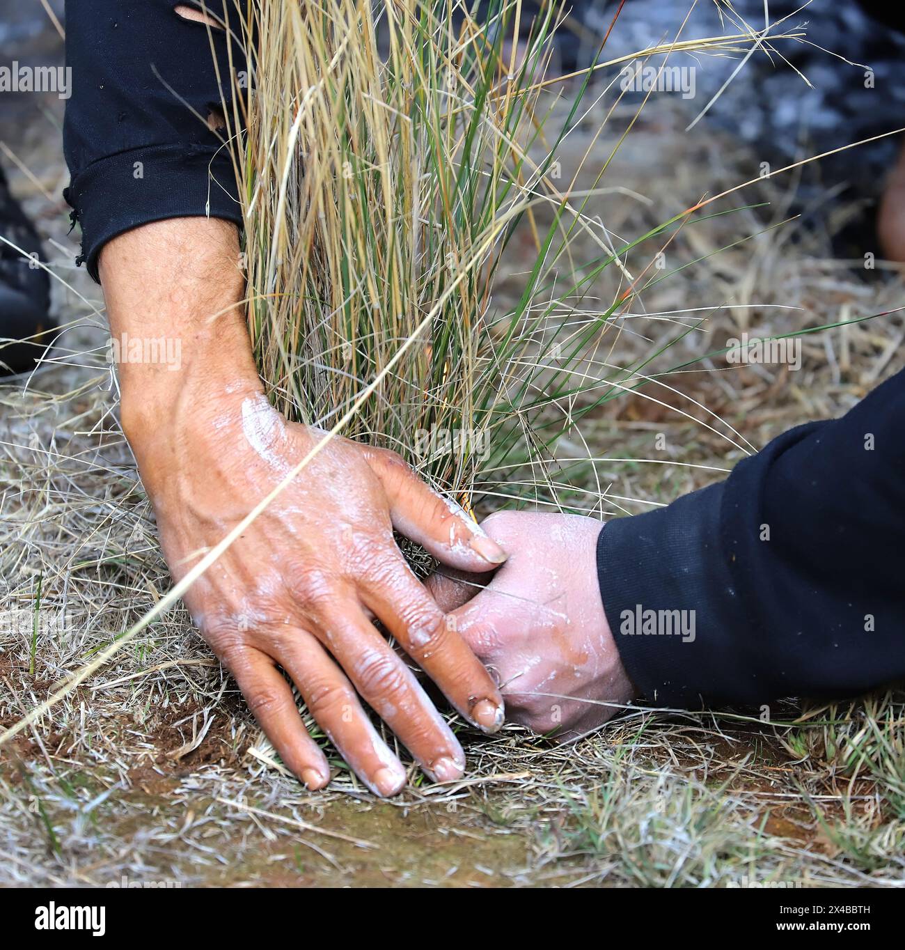 Indigenous australian australian people peoples person hi-res stock ...