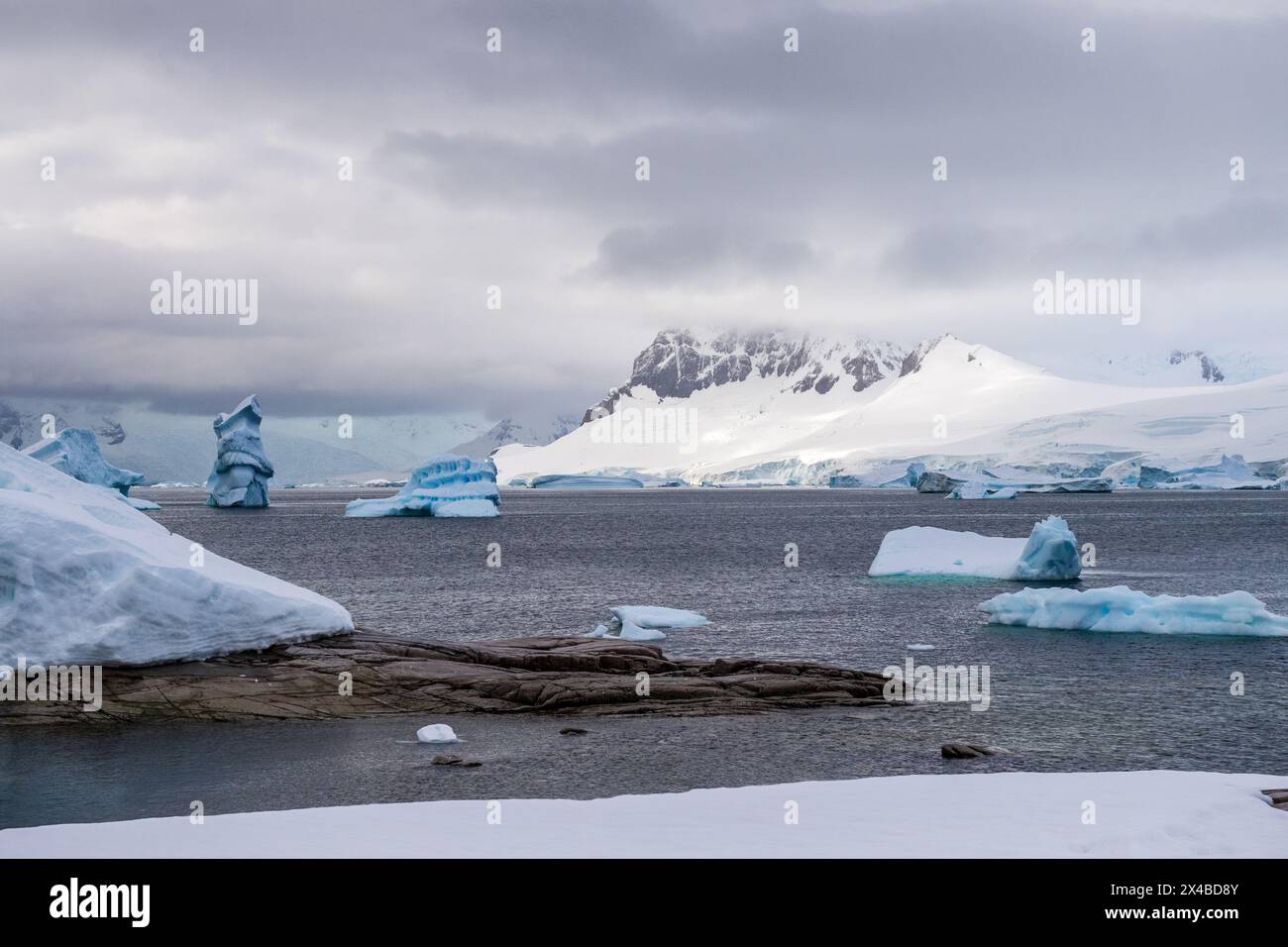 Giant iceberg and intriguinly shaped ice formation align the Coast of ...