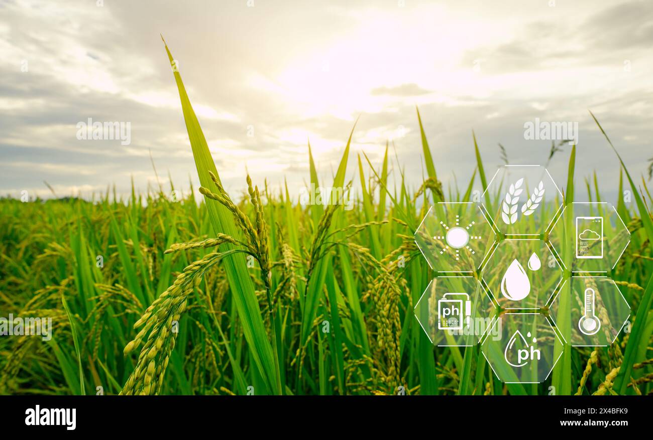 Smart agriculture with modern technology for sustainable practices ... Smart agriculture with modern technology for sustainable practices ...