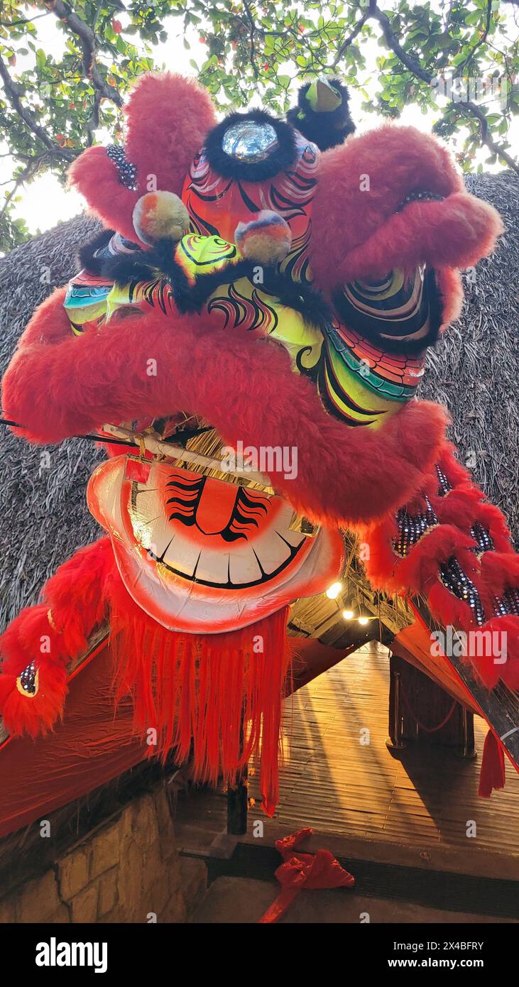 huge red dragon head at tet festival on phu quoc island Stock Photo - Alamy