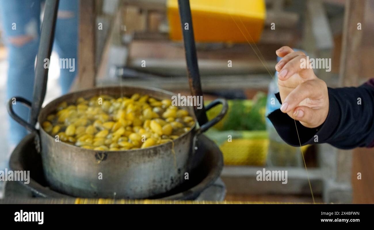 silk manufacture on silk island in phnom penh Stock Photo - Alamy