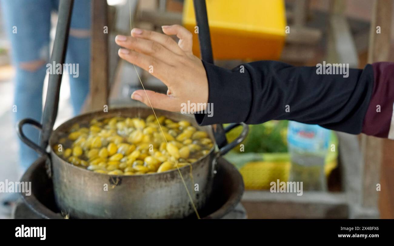 silk manufacture on silk island in phnom penh Stock Photo - Alamy
