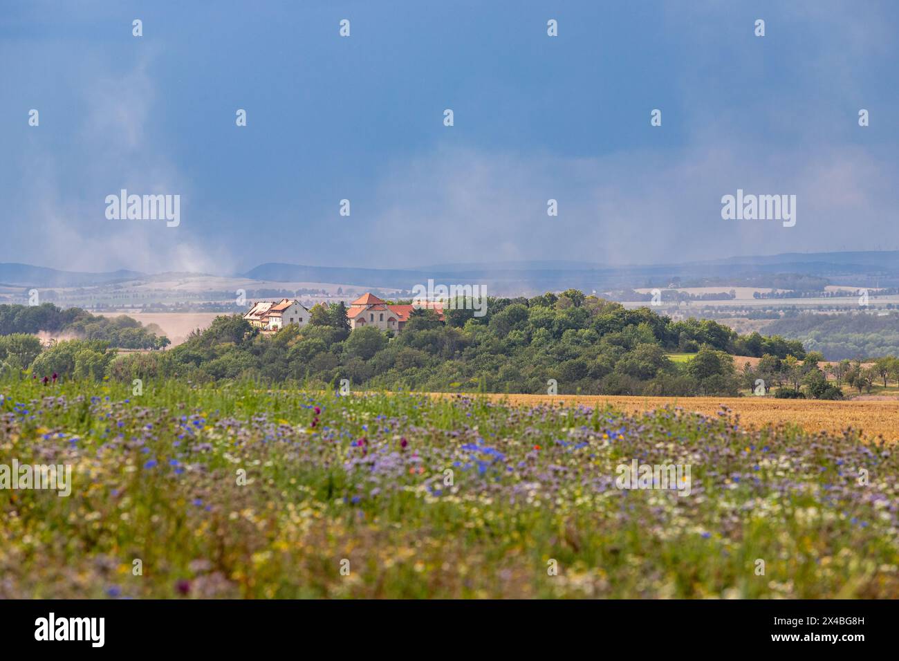 Wiesen und felder mit fernblick hi-res stock photography and images - Alamy