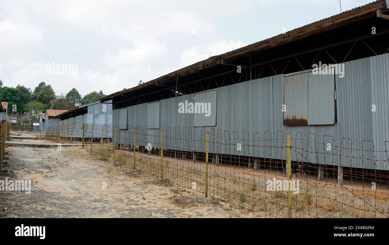 coconut prison on phu quoc island in vietnam Stock Photo - Alamy