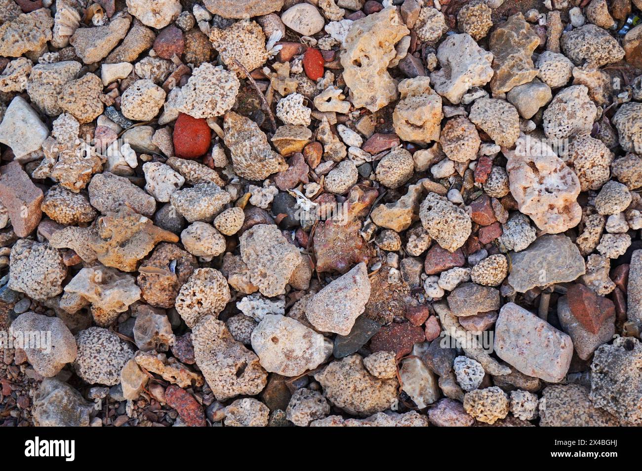 old coral stone texture as very nice natural background Stock Photo - Alamy