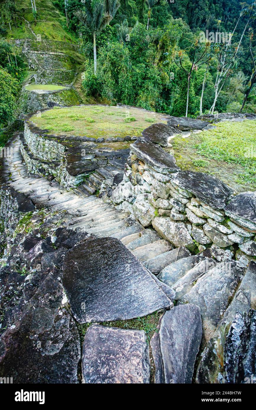 Hidden ancient ruins of Tayrona civilization Ciudad Perdida in the ...