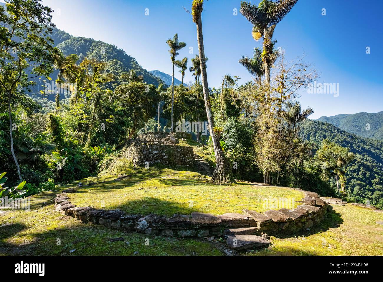 Hidden ancient ruins of Tayrona civilization Ciudad Perdida in the ...
