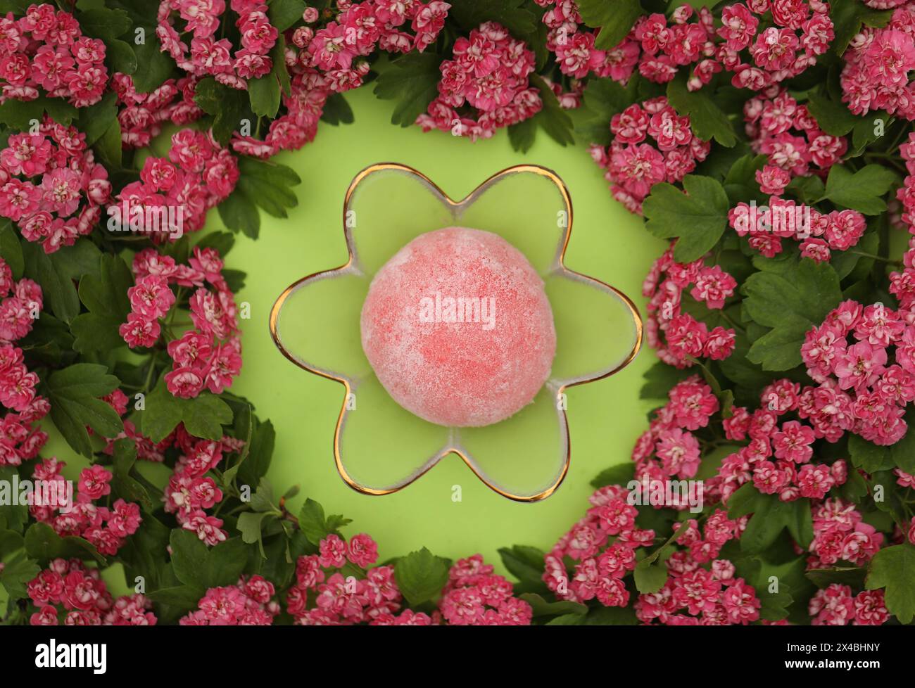 Colorful japanese daifuku mochi sweets with flower decoration Stock ...