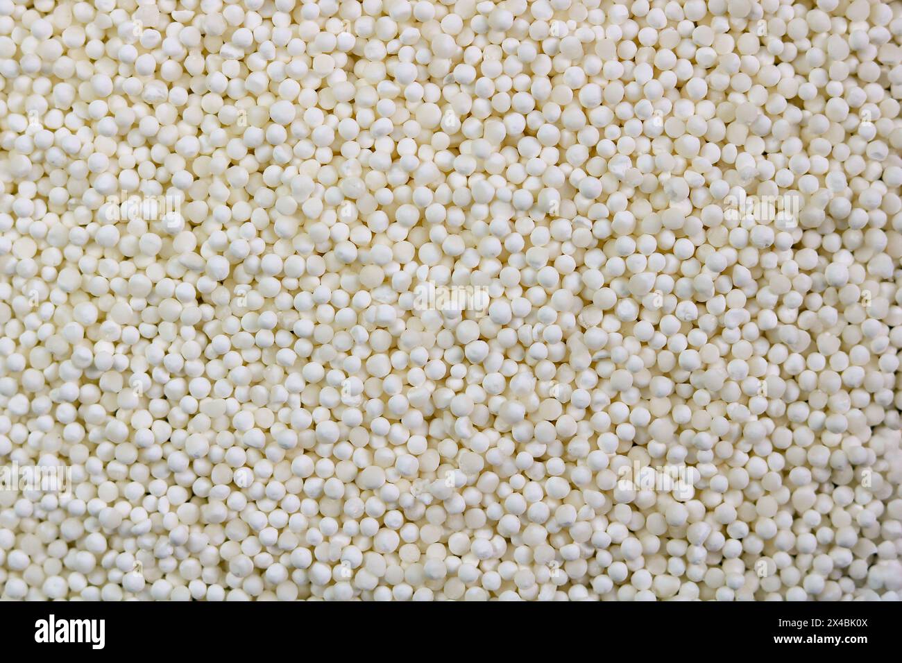 Background of White sago pearls Stock Photo - Alamy
