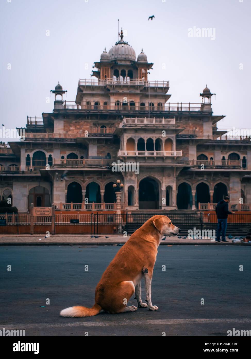 Portaitlens hi-res stock photography and images - Alamy