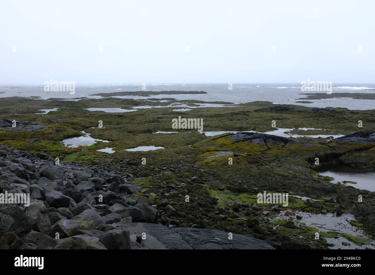 Iceland selvogur strandarkirkja church hi-res stock photography and ...