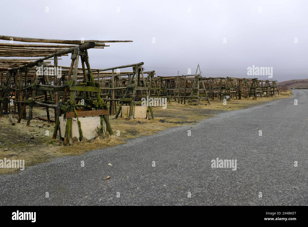 fish drying on wooden racks near Hafnarfjordur, Iceland Stock Photo - Alamy