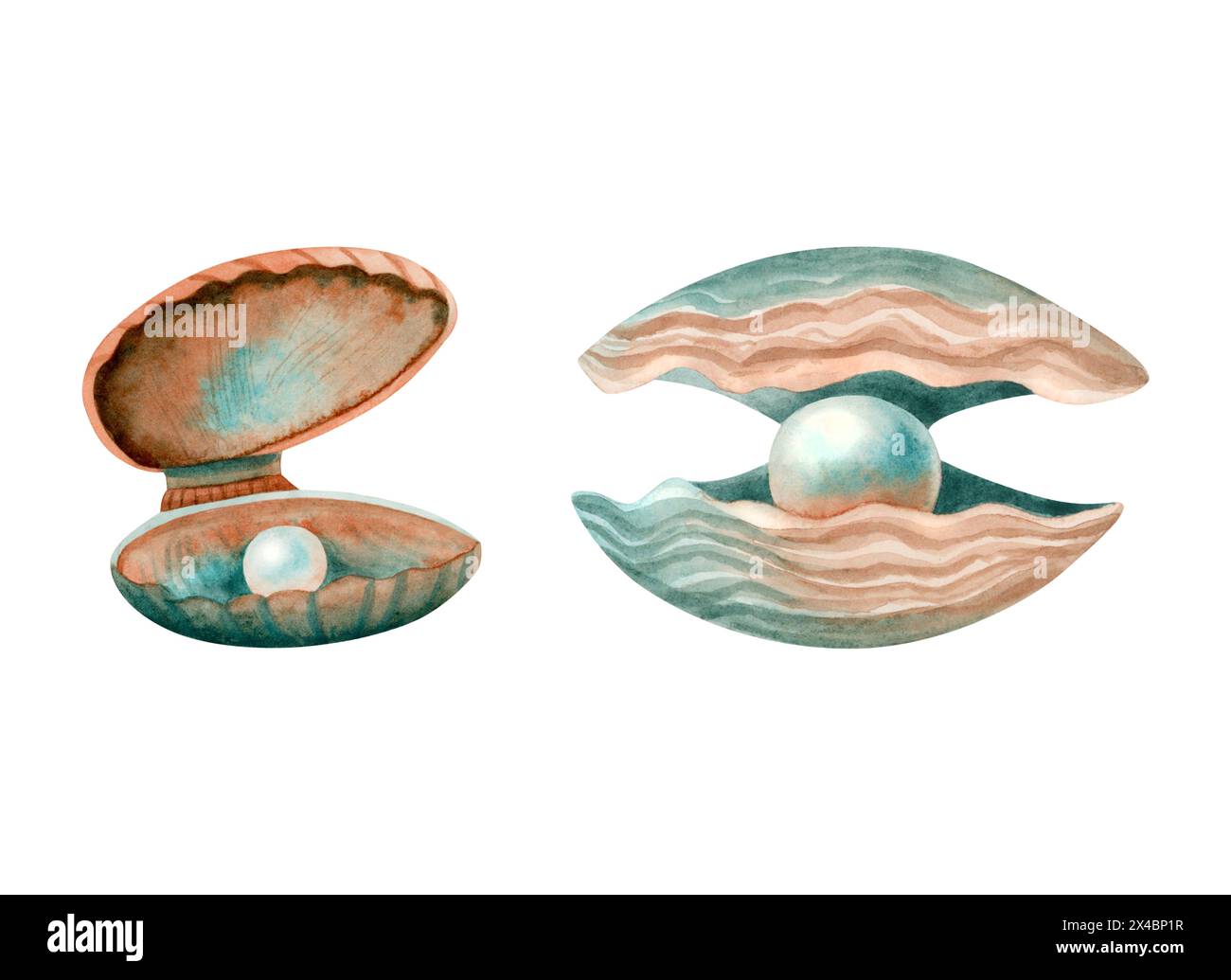 Pearls in open sea shells watercolor illustration set. Hand drawn ...