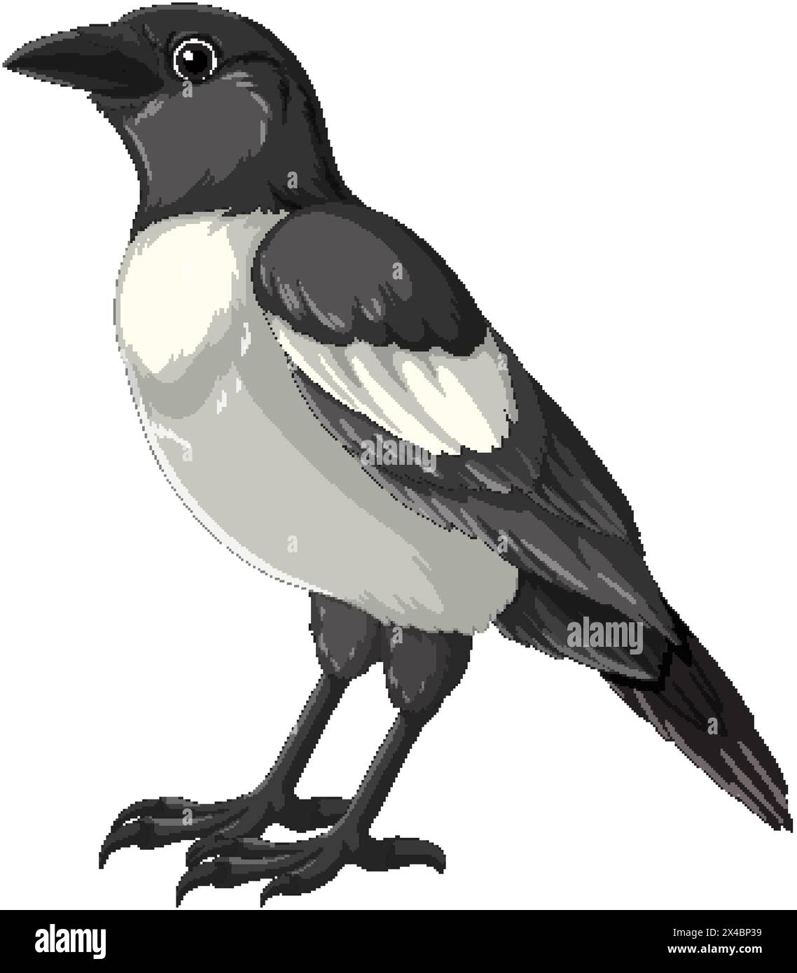 Magpie plumage Stock Vector Images - Alamy
