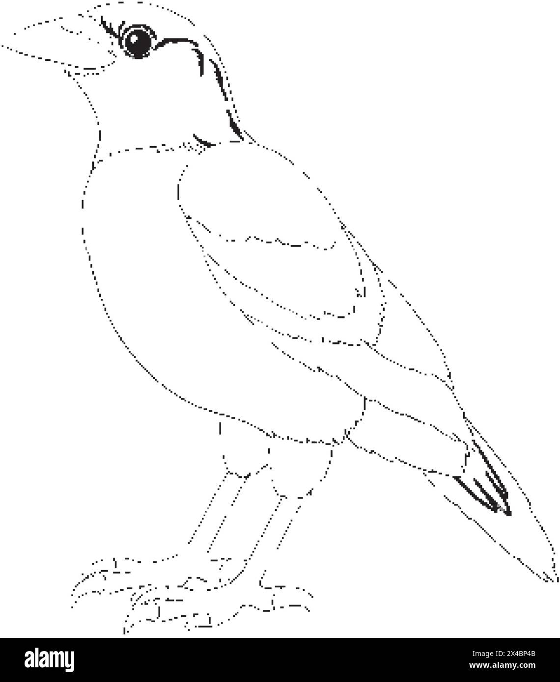 Black and white line art of a perched bird Stock Vector Image & Art - Alamy