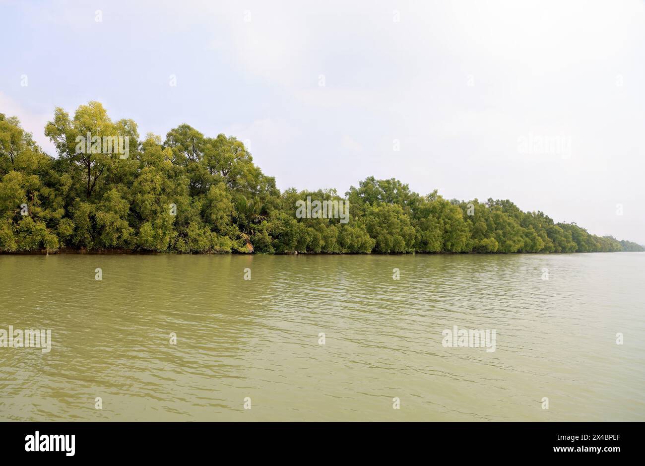A view of The Sundarbans.Sundarbans National Park is a large coastal ...