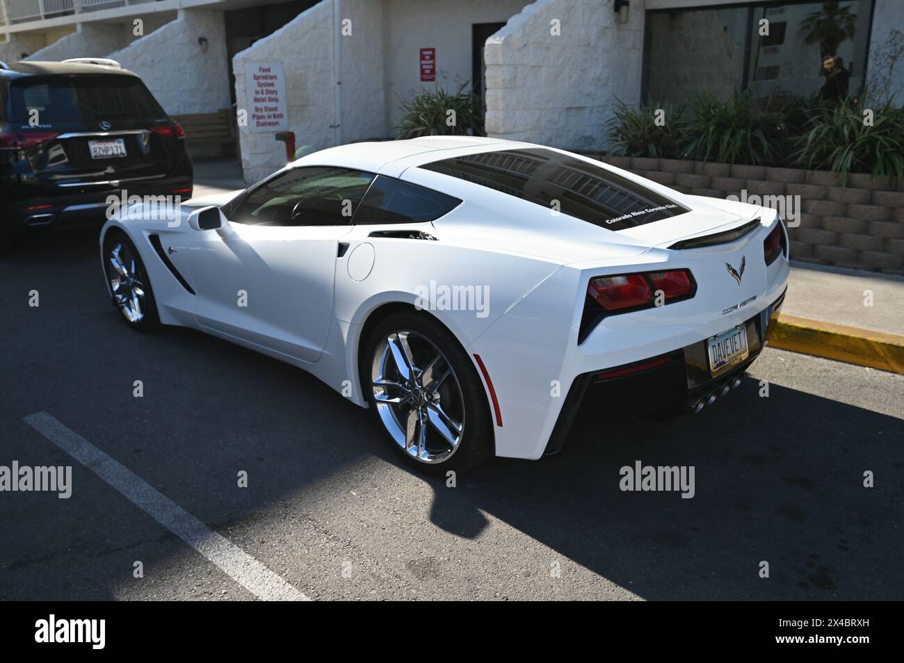 White Covette Stingray Stock Photo - Alamy