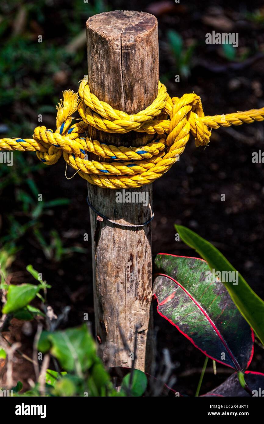 Yellow rope tied into knots to a wooden pole Stock Photo - Alamy