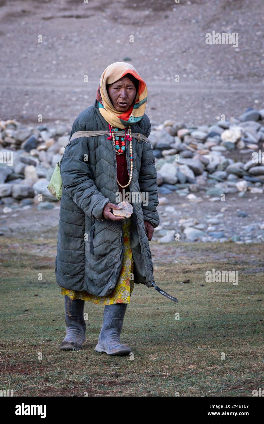 Portrait of a female Changpa nomad, Ladakh, India Stock Photo - Alamy