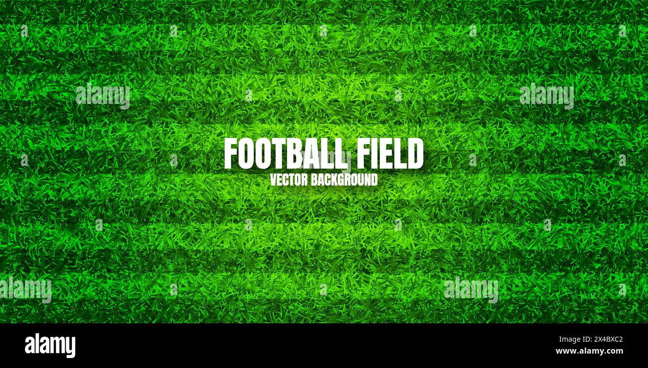 Soccer playing field with green grass. Football pitch background with ...