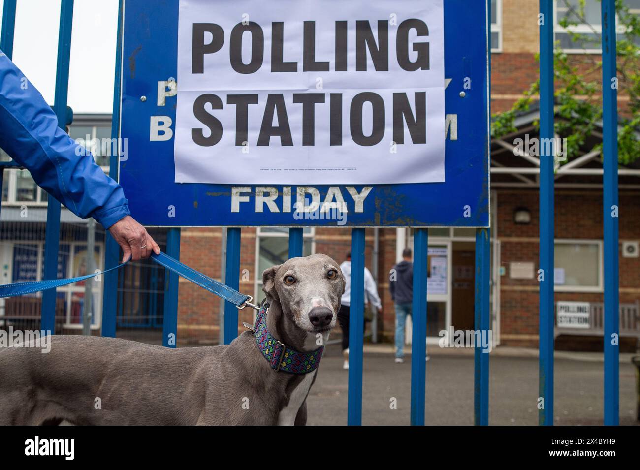 Ava mclean hi-res stock photography and images - Alamy