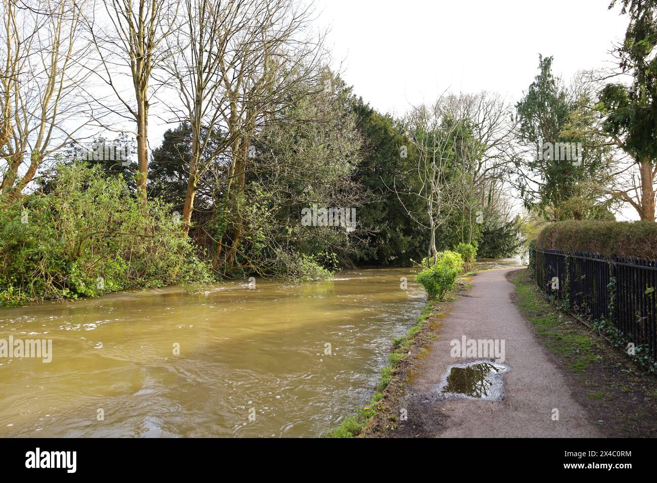 The Avon River flowing through Salisbury city, England Stock Photo - Alamy