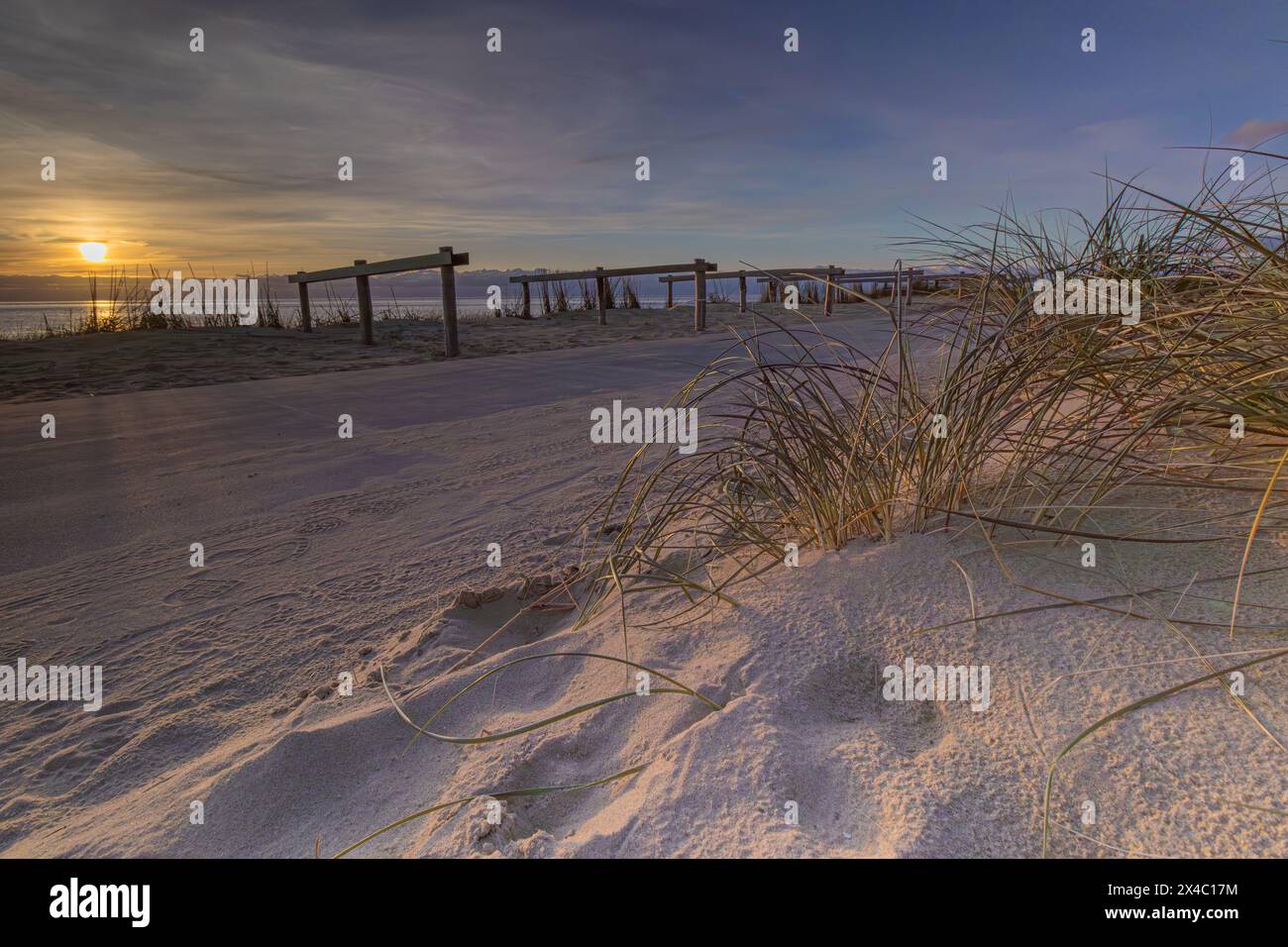 Bike racks in the dunes near the beach of Den Helder, surrounded by ...