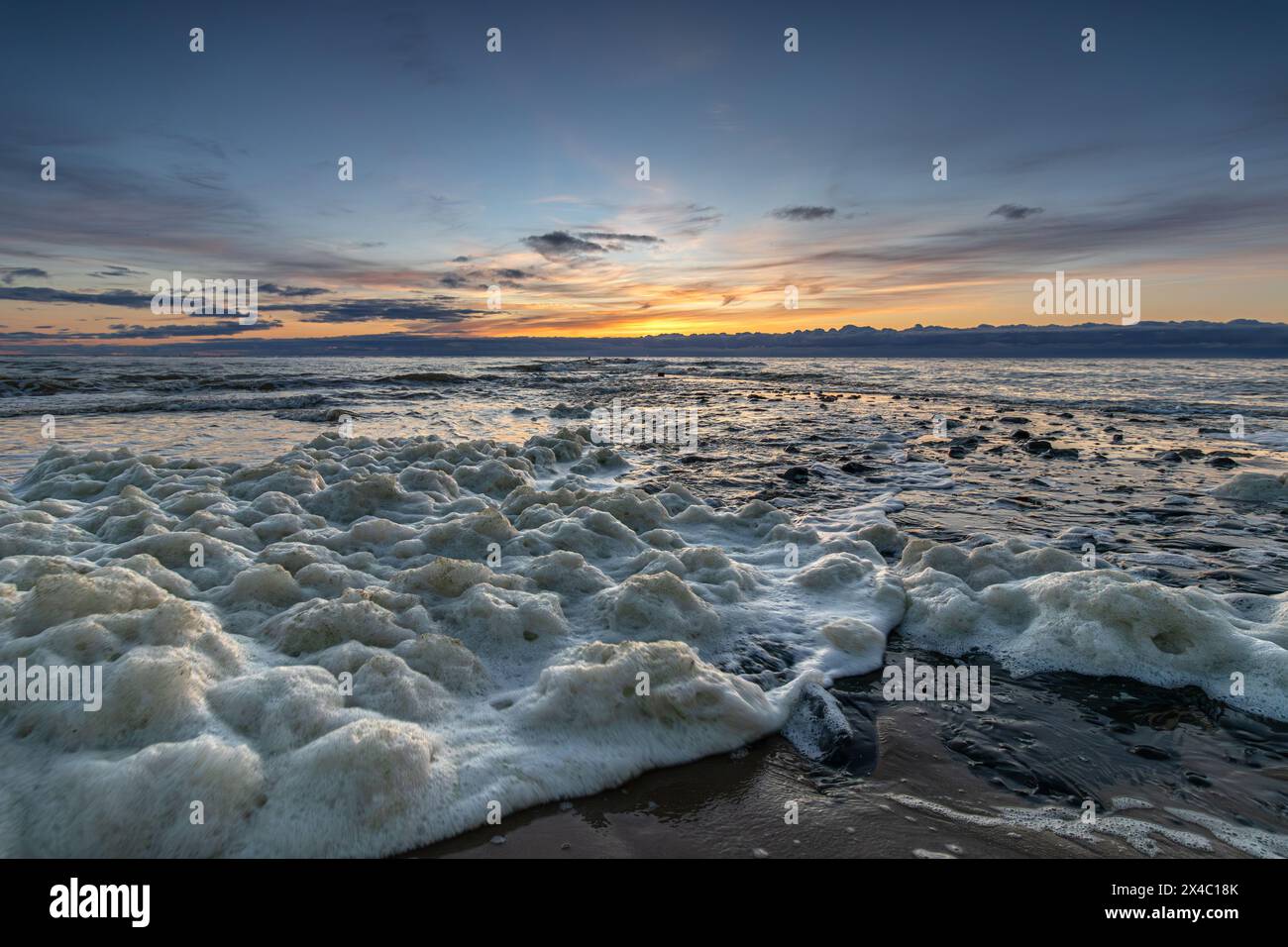 Slime algae hi-res stock photography and images - Alamy