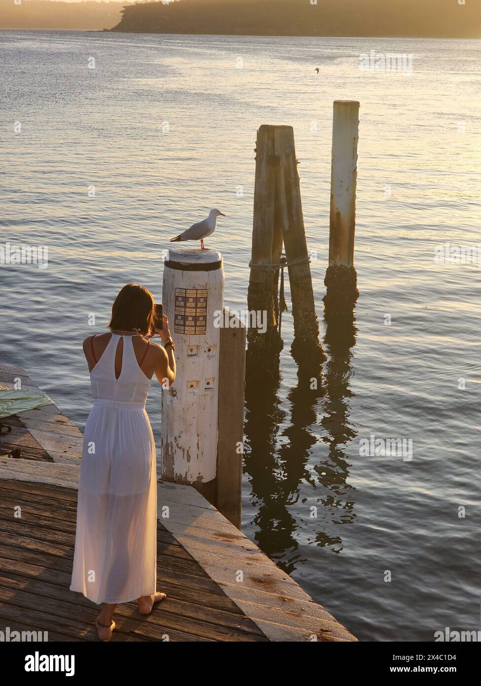 Woman dressed all in white taking a photo, on a dock, on a pier, of a ...