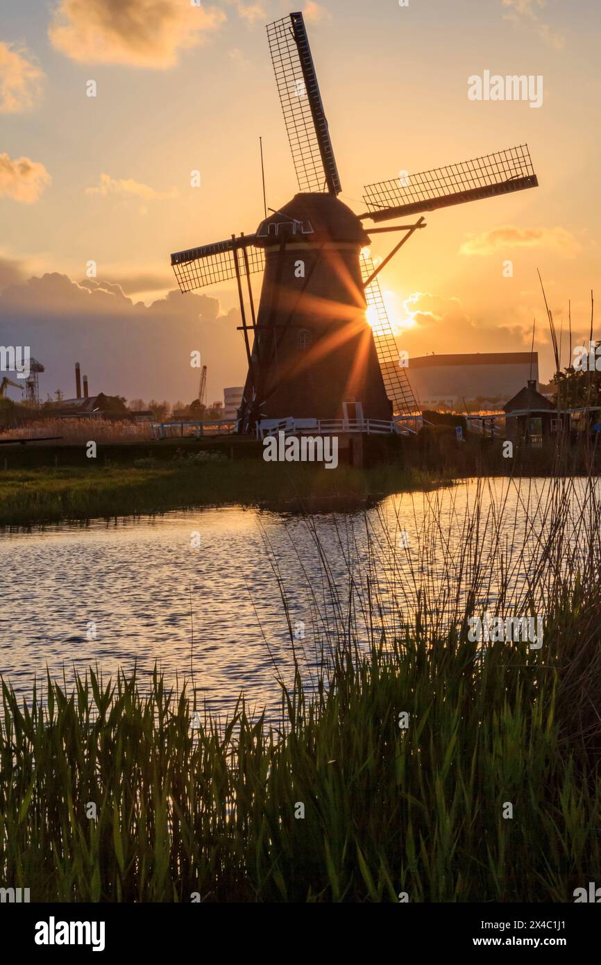 Netherlands, South Holland, Alblasserwaard polder, Molenlanden ...