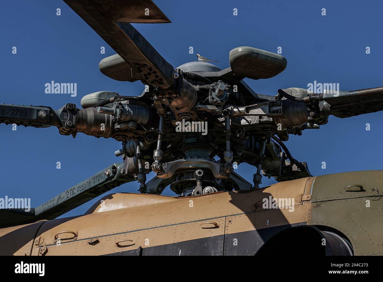 Yevhen Vasyliev/Le Pictorium - The 16th Separate Brigade of the Brody ...