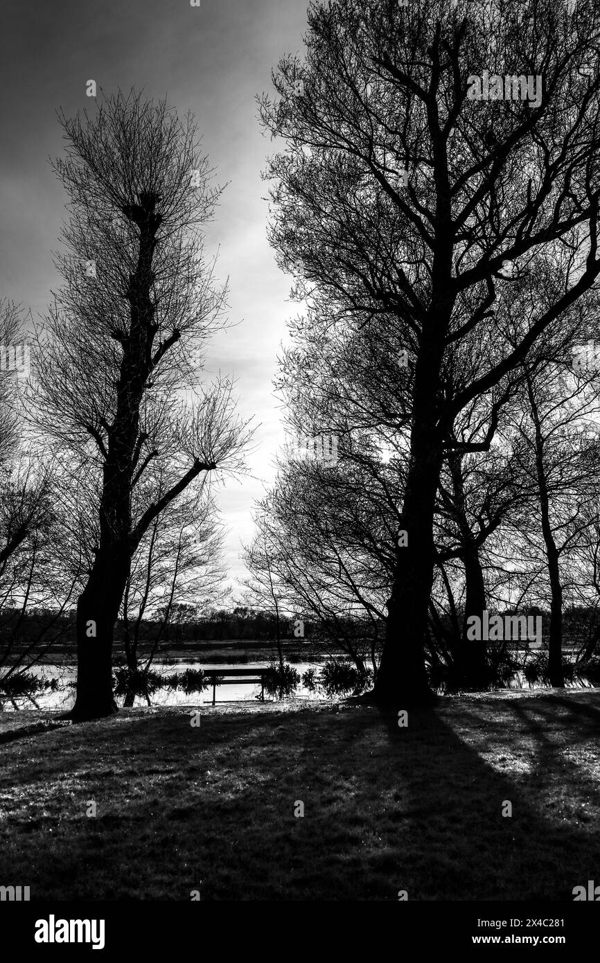 Beautiful Queen Elizabeth Gardens in Salisbury city Stock Photo - Alamy