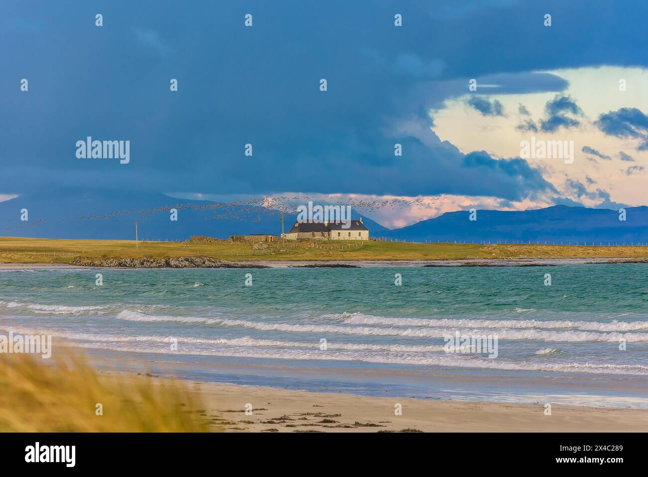 Gott Bay, Isle of Tiree, Inner Hebrides, Scotland, March 28 2024. A ...