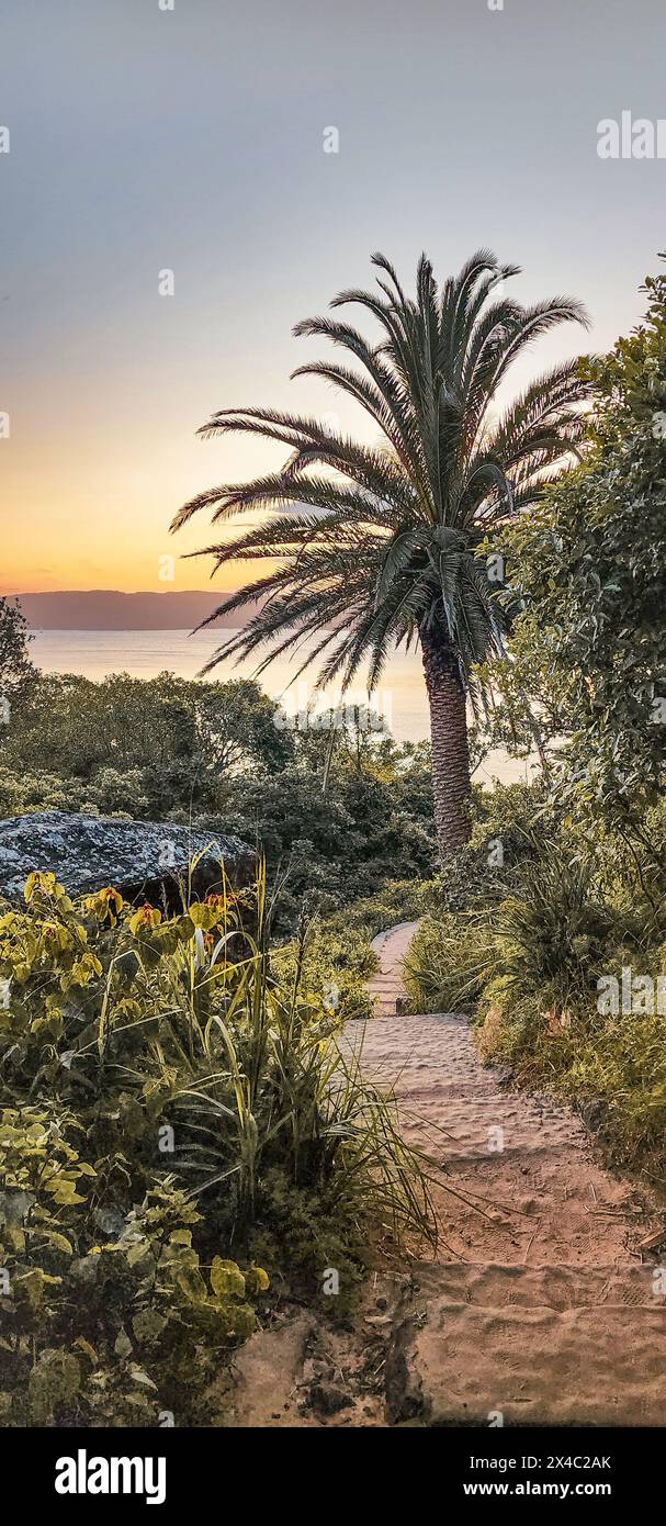 Coastal plants of australia hi-res stock photography and images - Alamy