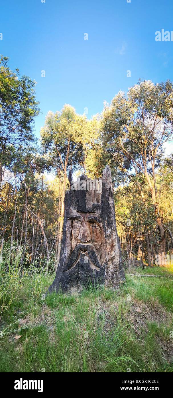 Aboriginal australia and totem hi-res stock photography and images - Alamy