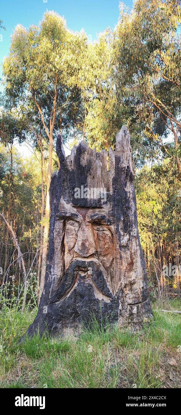 A tree trunk cut and burned by fire transformed into a totem art, with ...