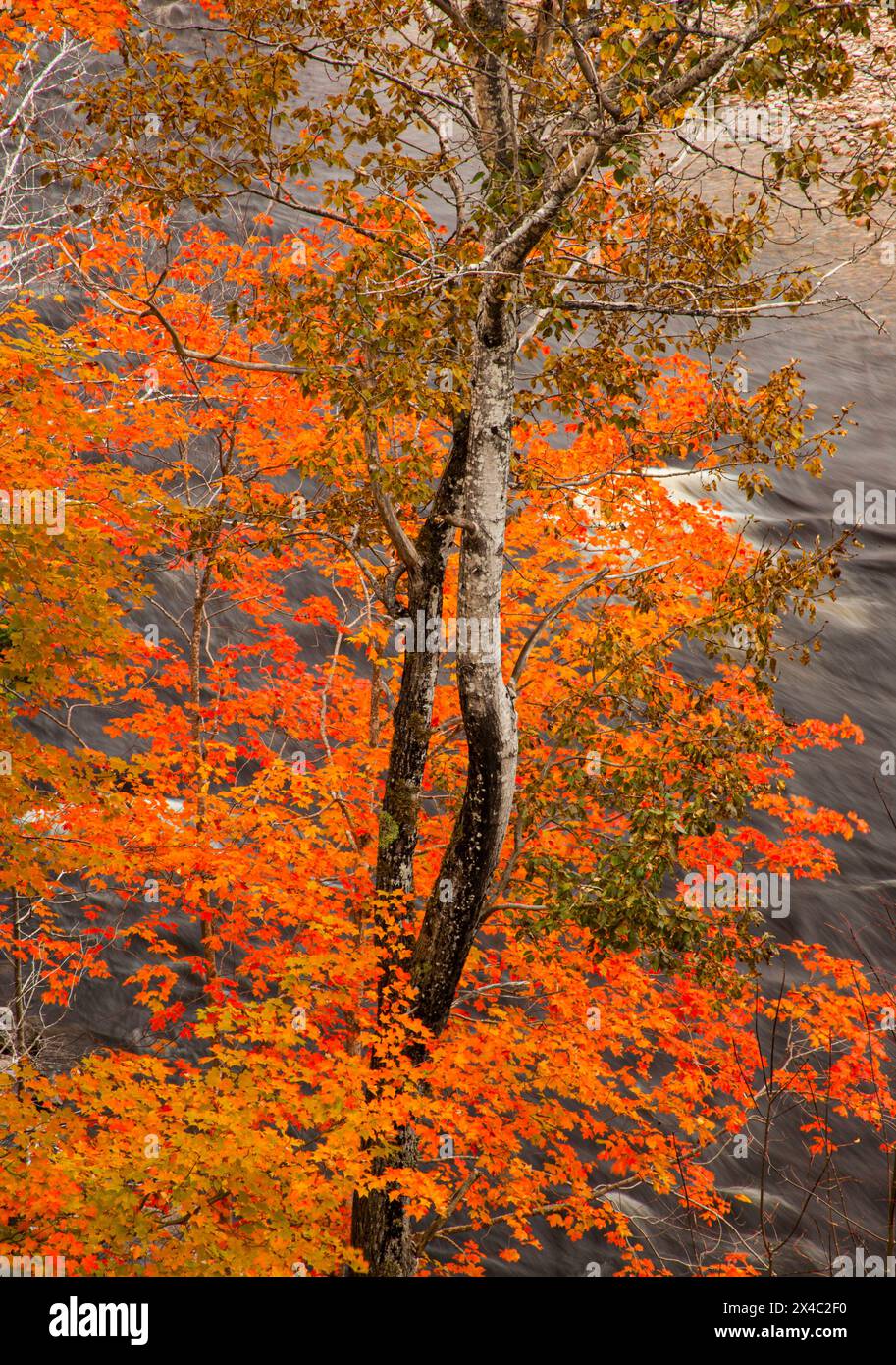 Cape breton nova scotia fall hi-res stock photography and images - Alamy